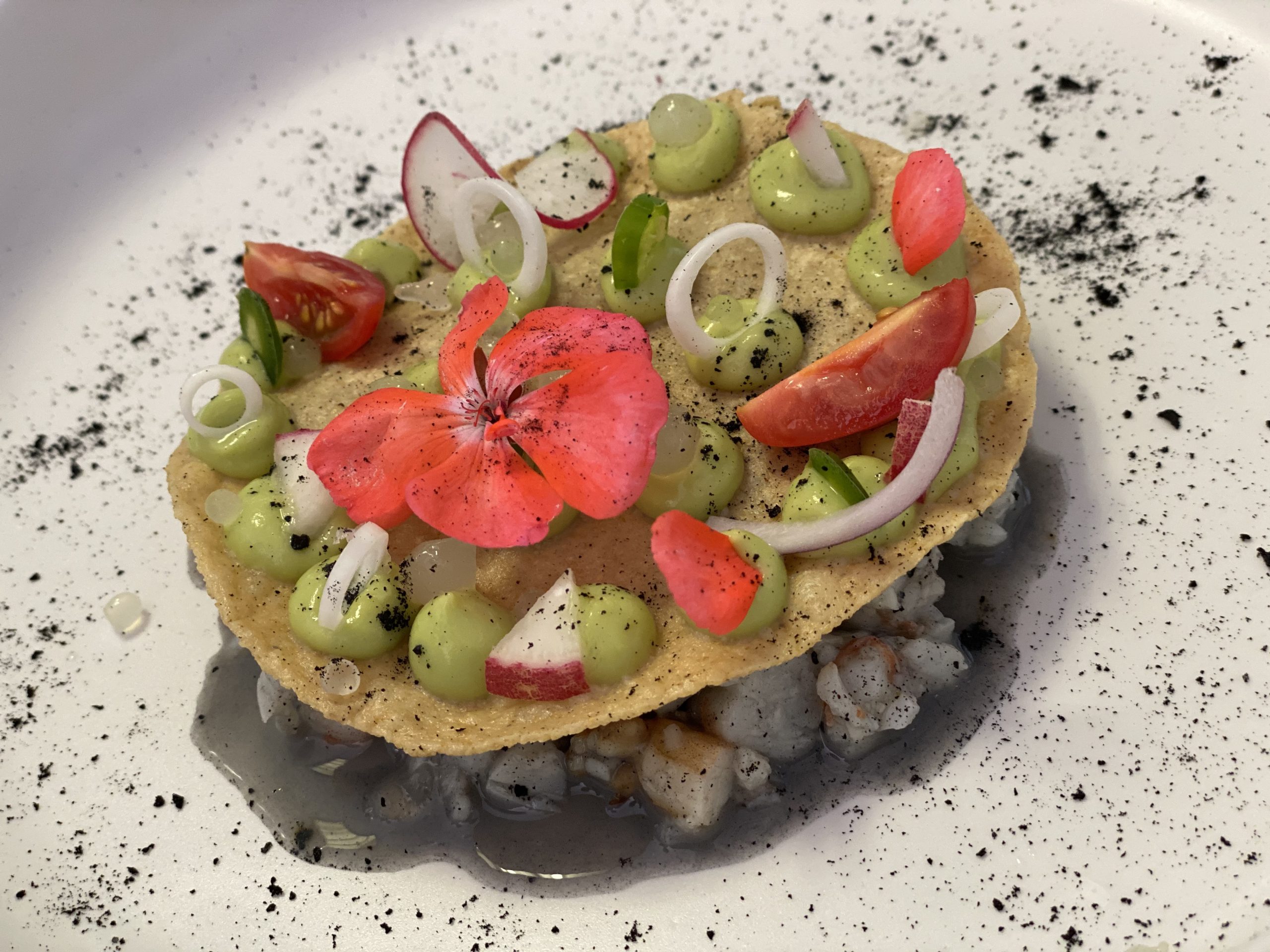 Gastronomadas MX - El Arte del Emplatado