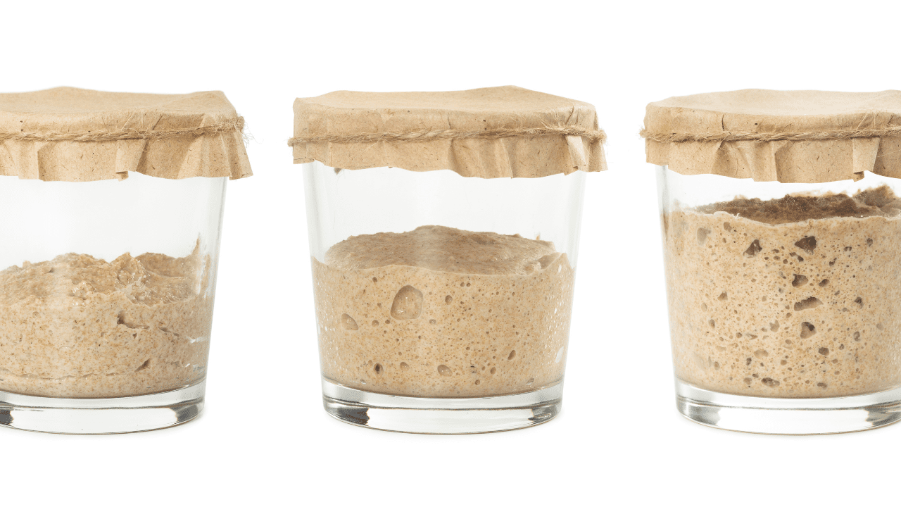 Gastronomadas MX - Prefermentos, te los explicamos - Noticias a