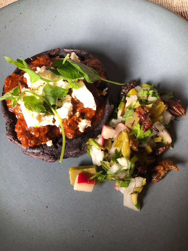 Gastronomadas MX - Tlaxcala un mágico destino culinario